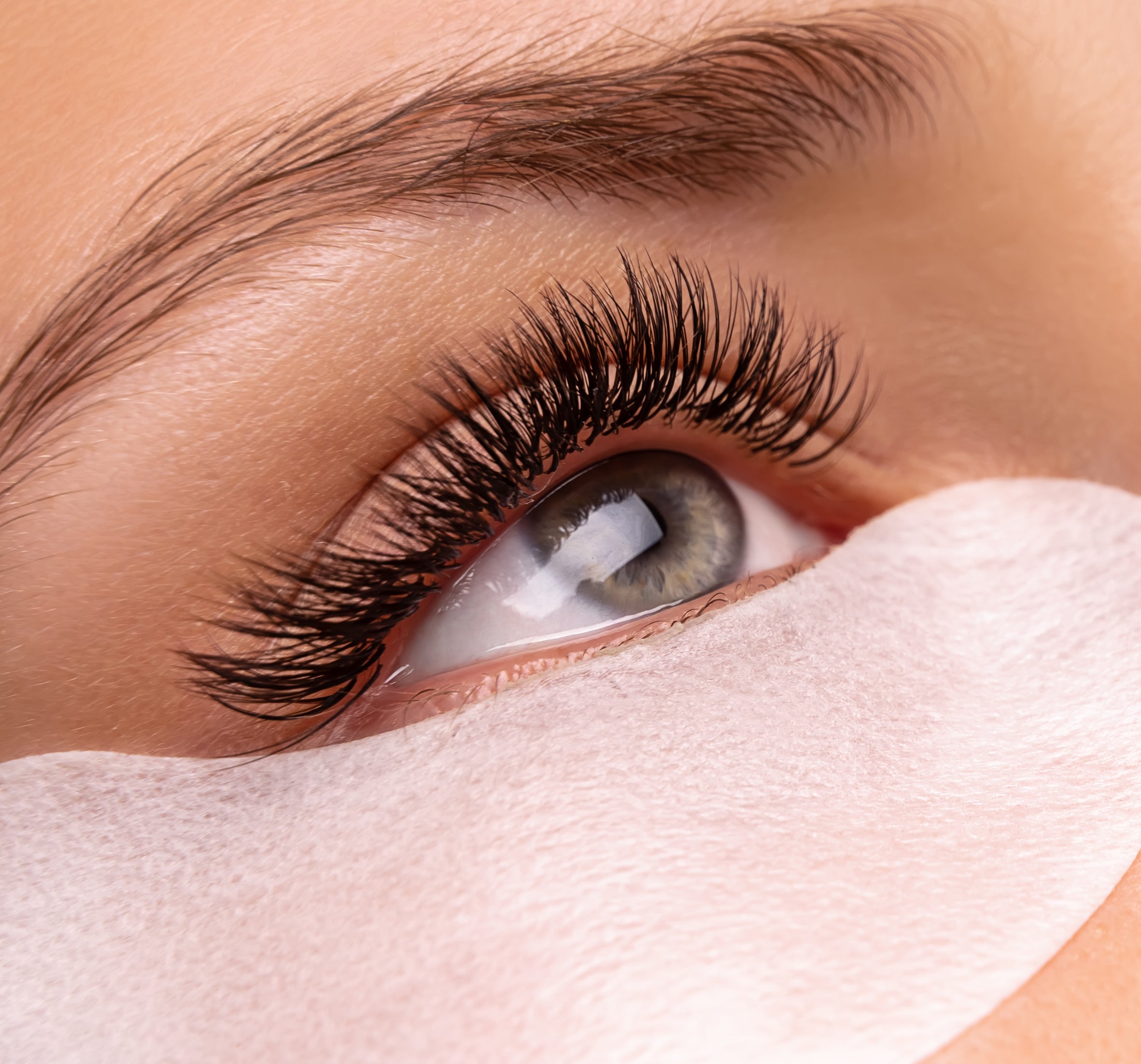 eyelashes catching fly